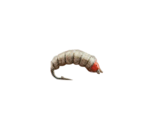 Killer Bug 6428