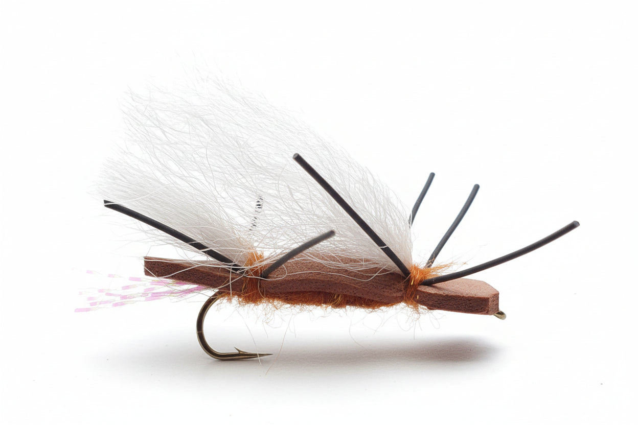 Brown Chubby Chernobyl Ant