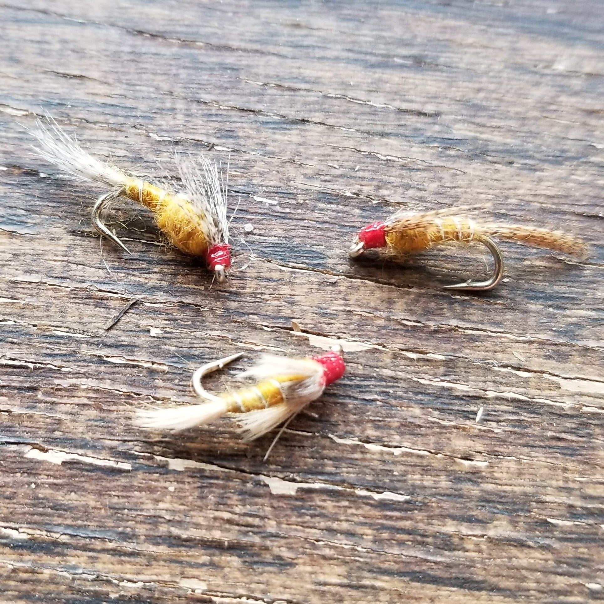 Light Cahill nymph