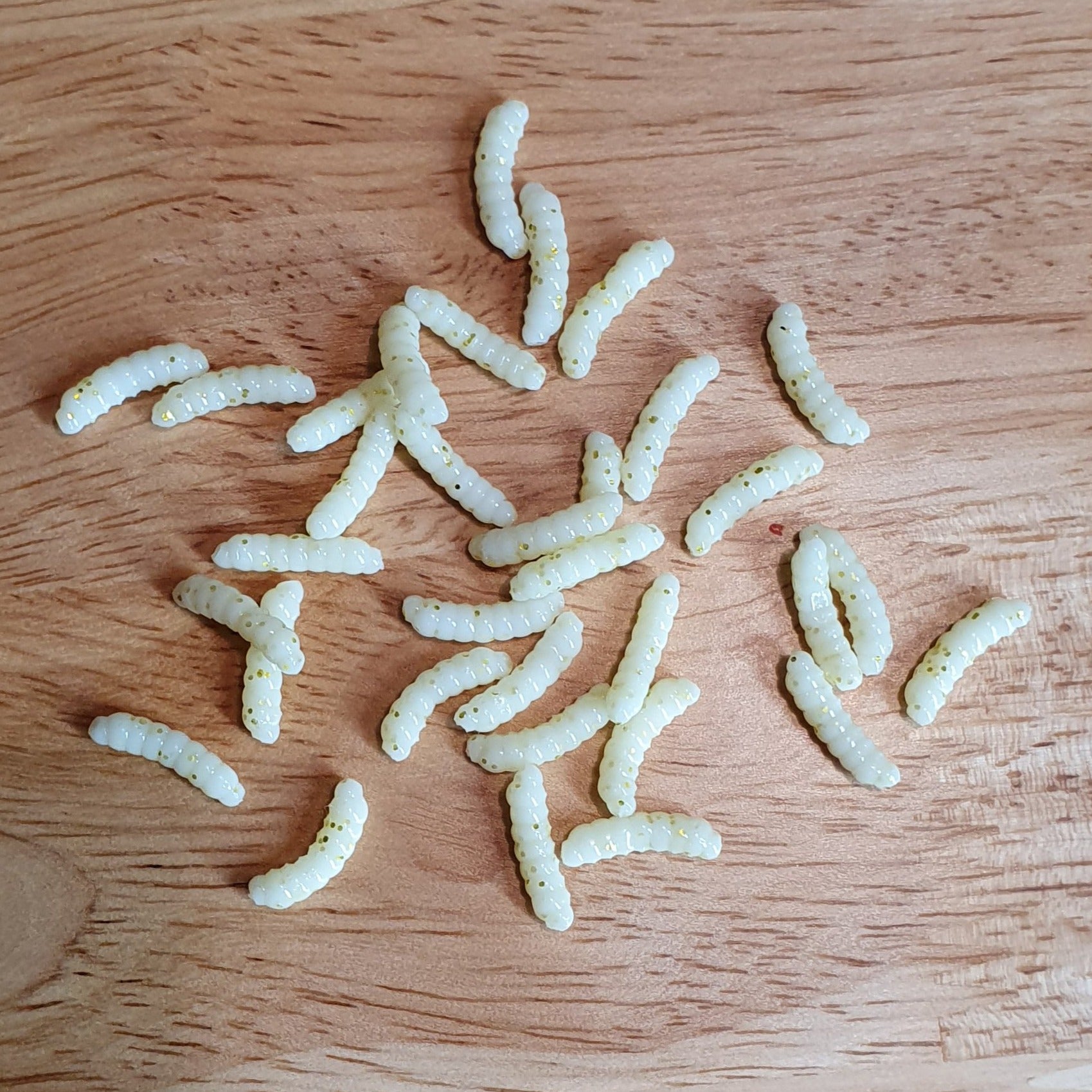 Maggots